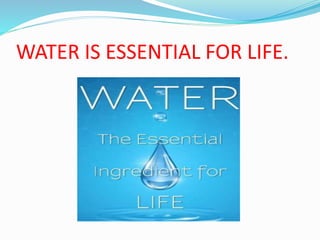 Water-PowerPoint Presentation.pptx