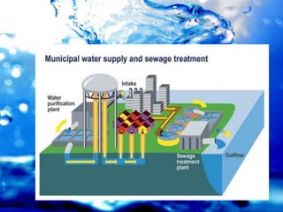 Water precious resource | PPT