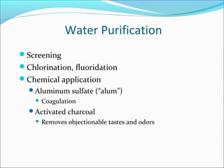 Water Purifier | PPT