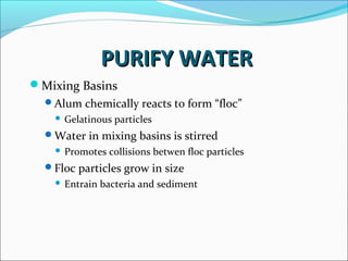 Water Purifier | PPT