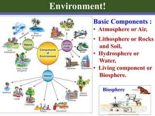 Water-Related Hazards_PPT_NCG.pptx
