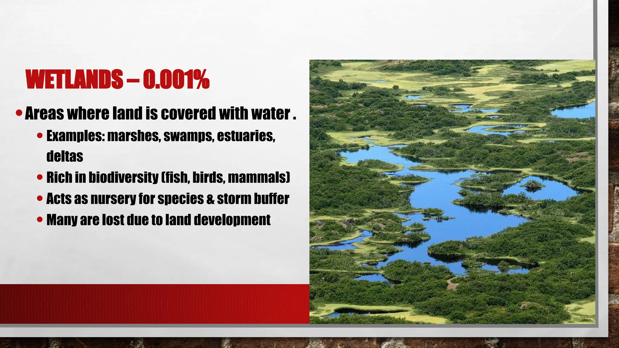 Water-Resouces.pptx economics earth science | PPTX