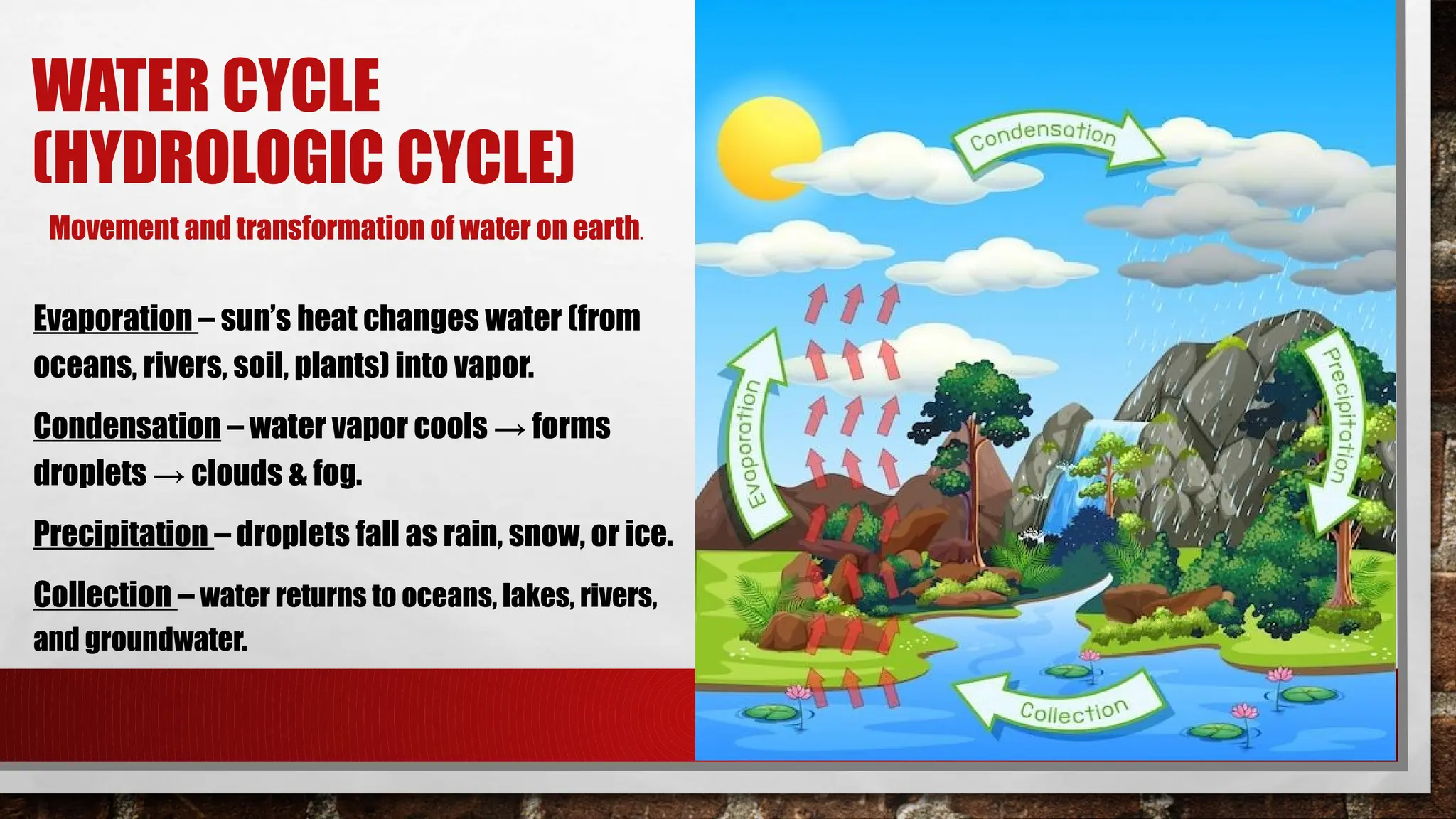 Water-Resouces.pptx economics earth science | PPTX