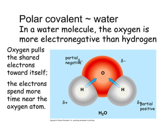 Water Review | PPT