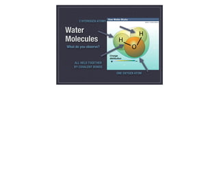 Properties of Water | PPT