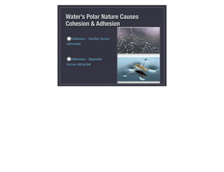 Properties of Water | PPT