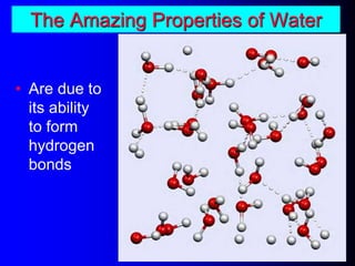 The Properties of WATER | PPT