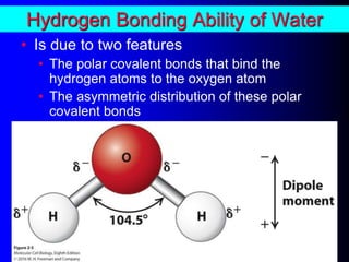 The Properties of WATER | PPT