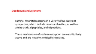 Water absorption.minerals,vitamines | PPTX
