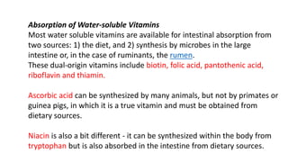 Water absorption.minerals,vitamines | PPTX