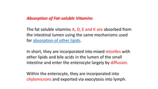 Water absorption.minerals,vitamines | PPTX