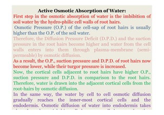 Plant Water Relation | PDF