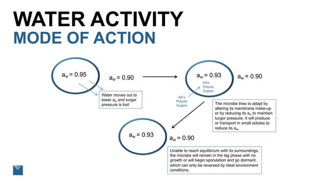 Water Activity 102: Microbial Growth