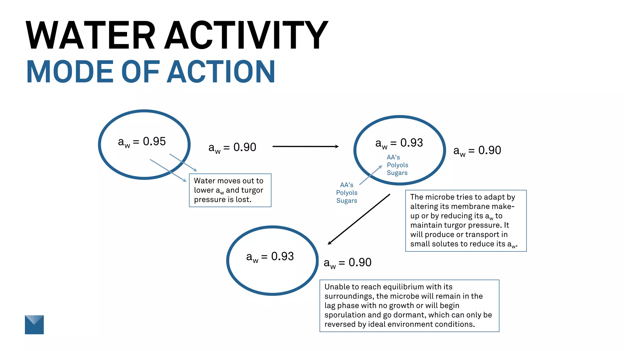 Water Activity & Cannabis | PDF