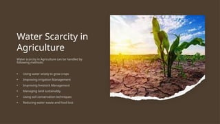 Water and Agriculture Presentation1.pptx
