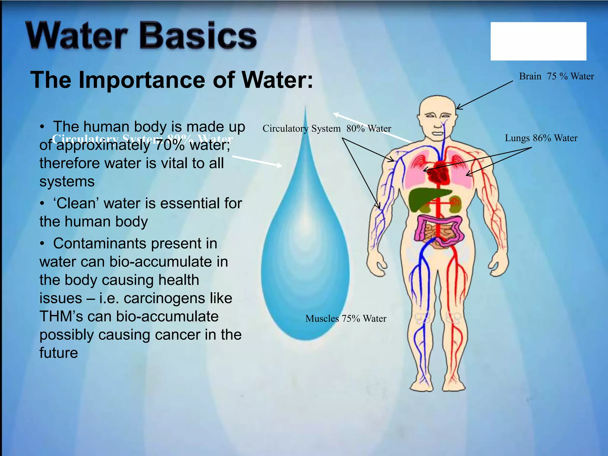 Water Analysis | PPTX