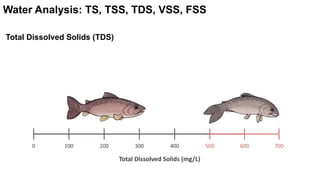 Water Analysis: Part 1 | PDF