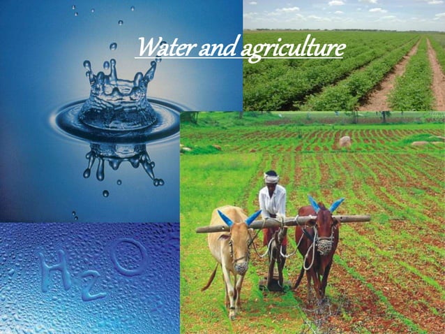 water and agriculture | PPTX