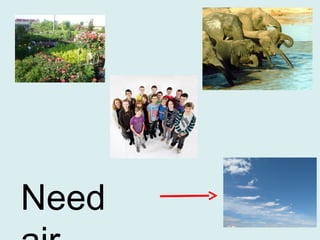 Water and air power point | PPT