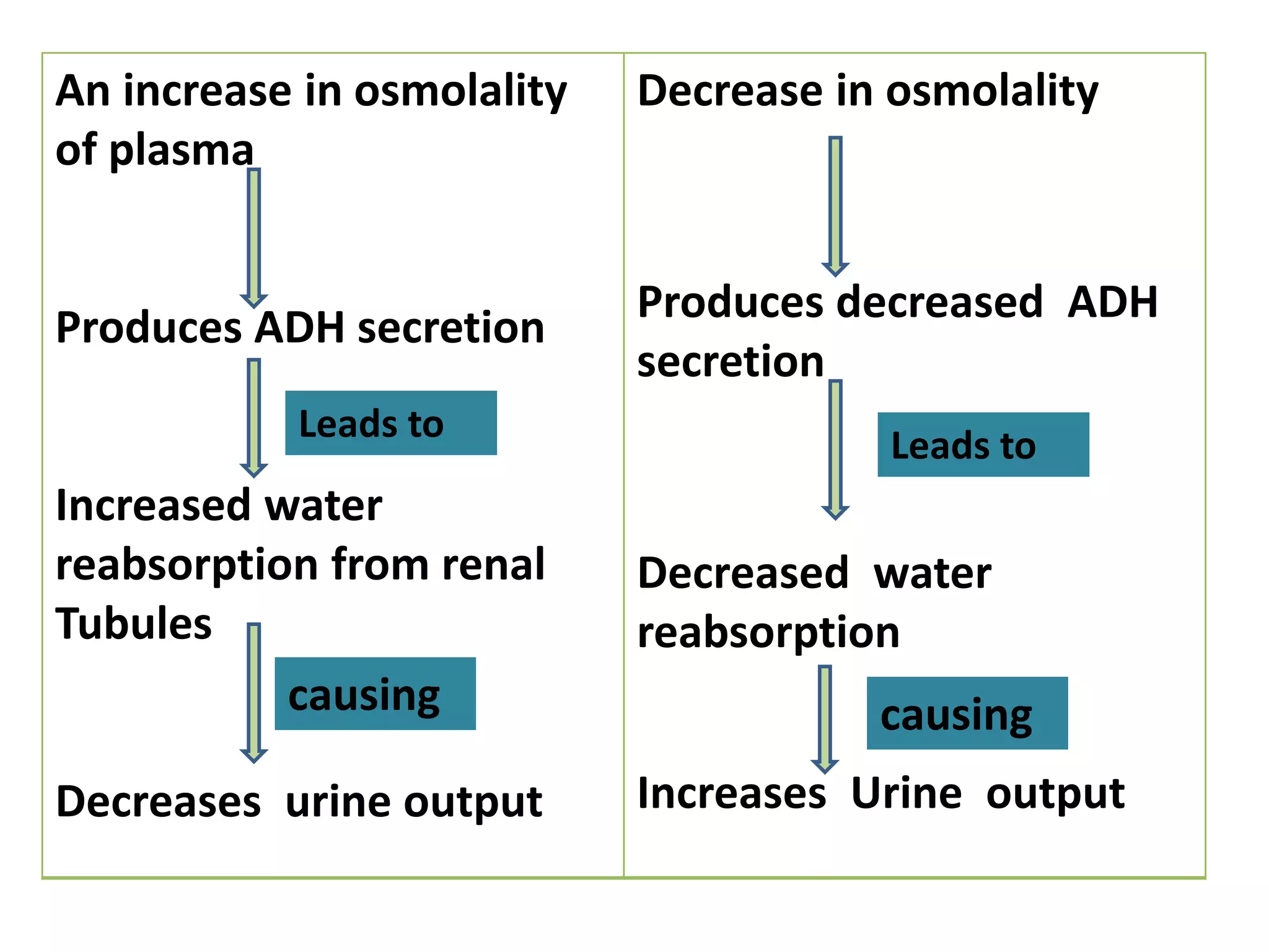 Water and electrolyte balance | PPTX