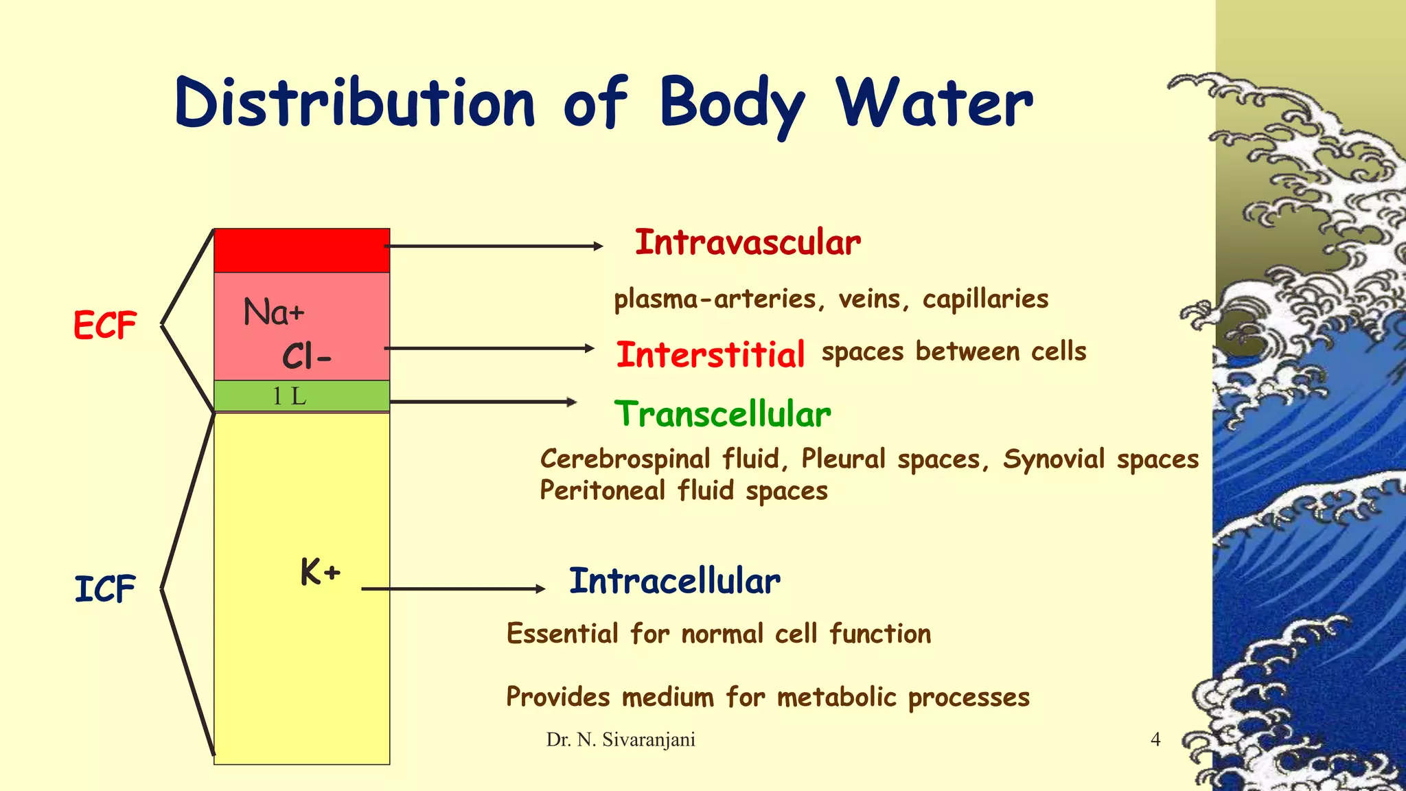Water and electrolyte | PPSX