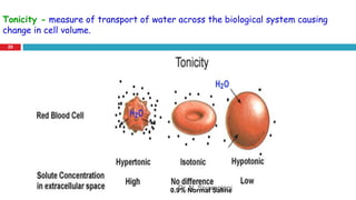 Water and electrolyte | PPSX