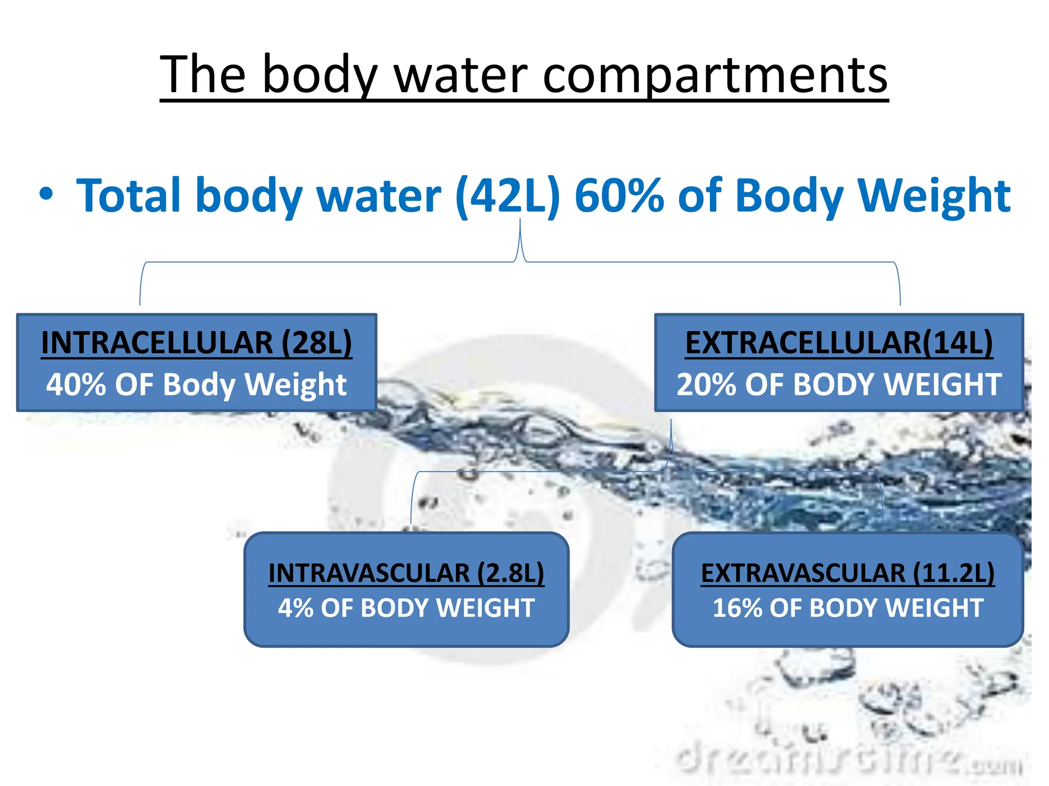 water and electrolyte (2).pptx Body is composed of about 60-70% water ...