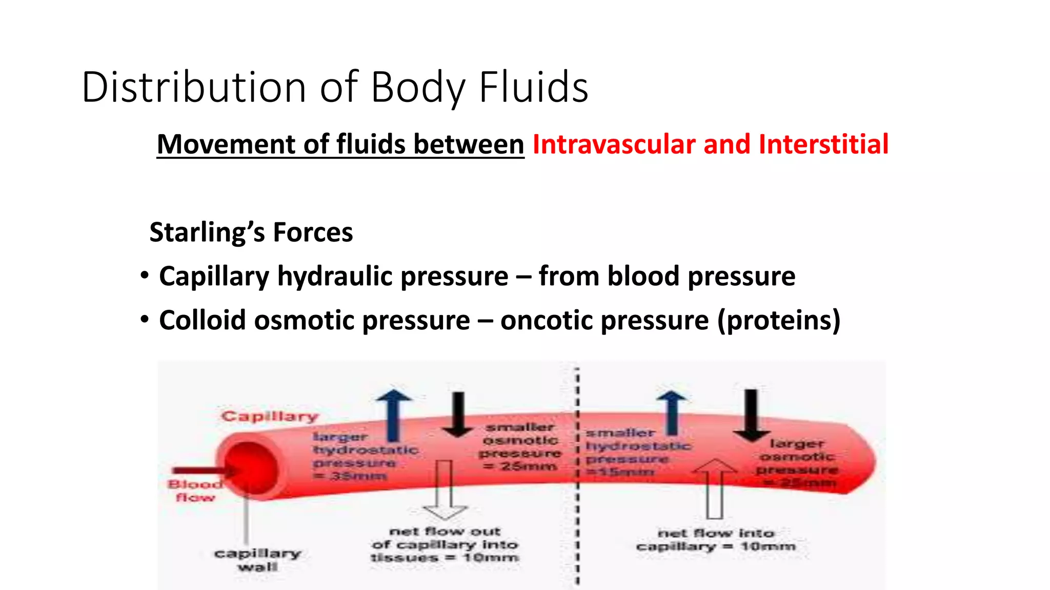WATER AND ELECTROLYTE BALANCE.pptx