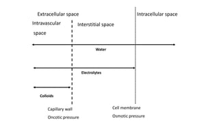 WATER AND ELECTROLYTE BALANCE.pptx