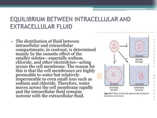 WATER AND ELECTROLYTE IMBALANCE Brief presentation | PPTX