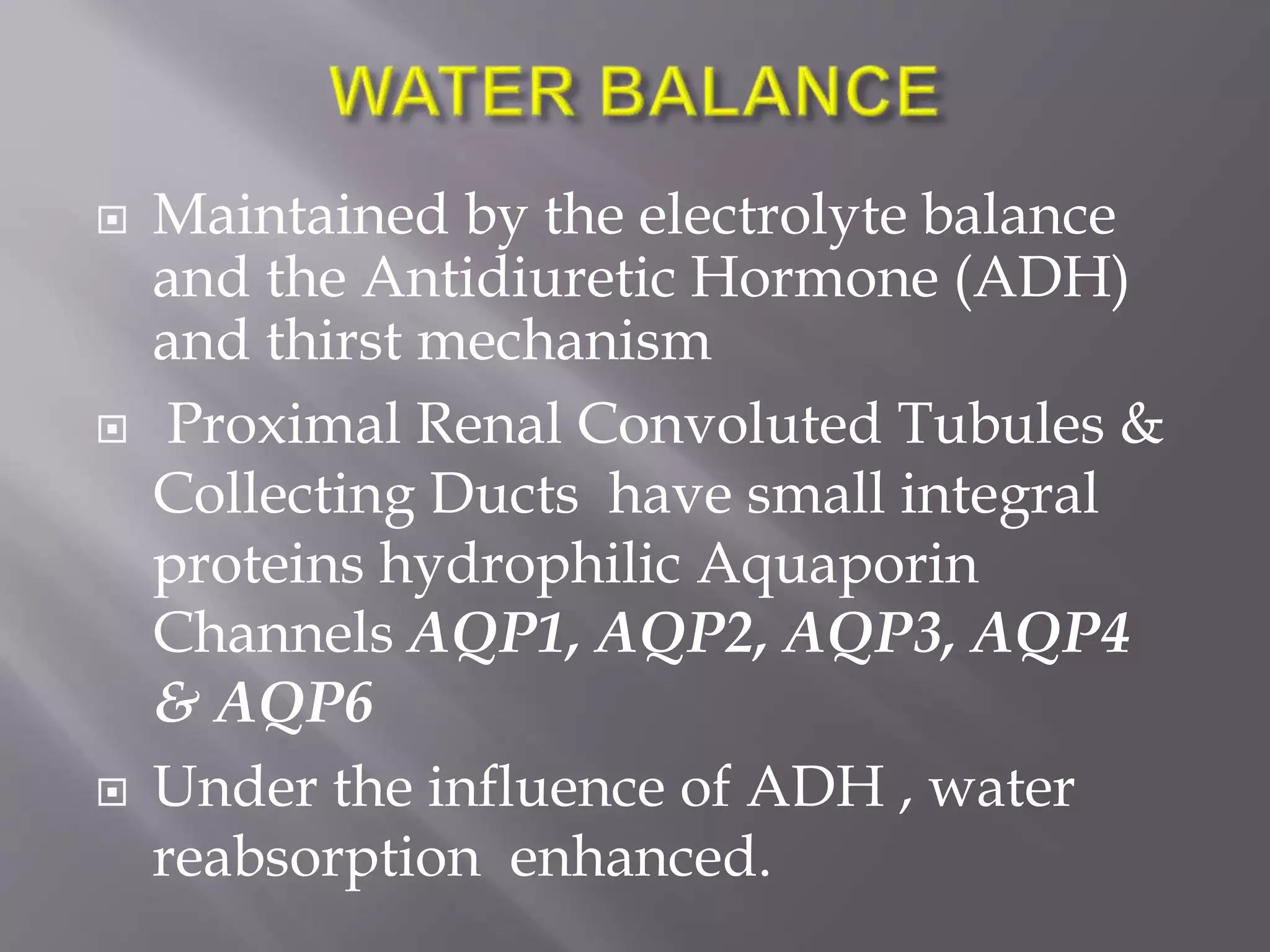 Water and electrolytes balance ss | PPTX