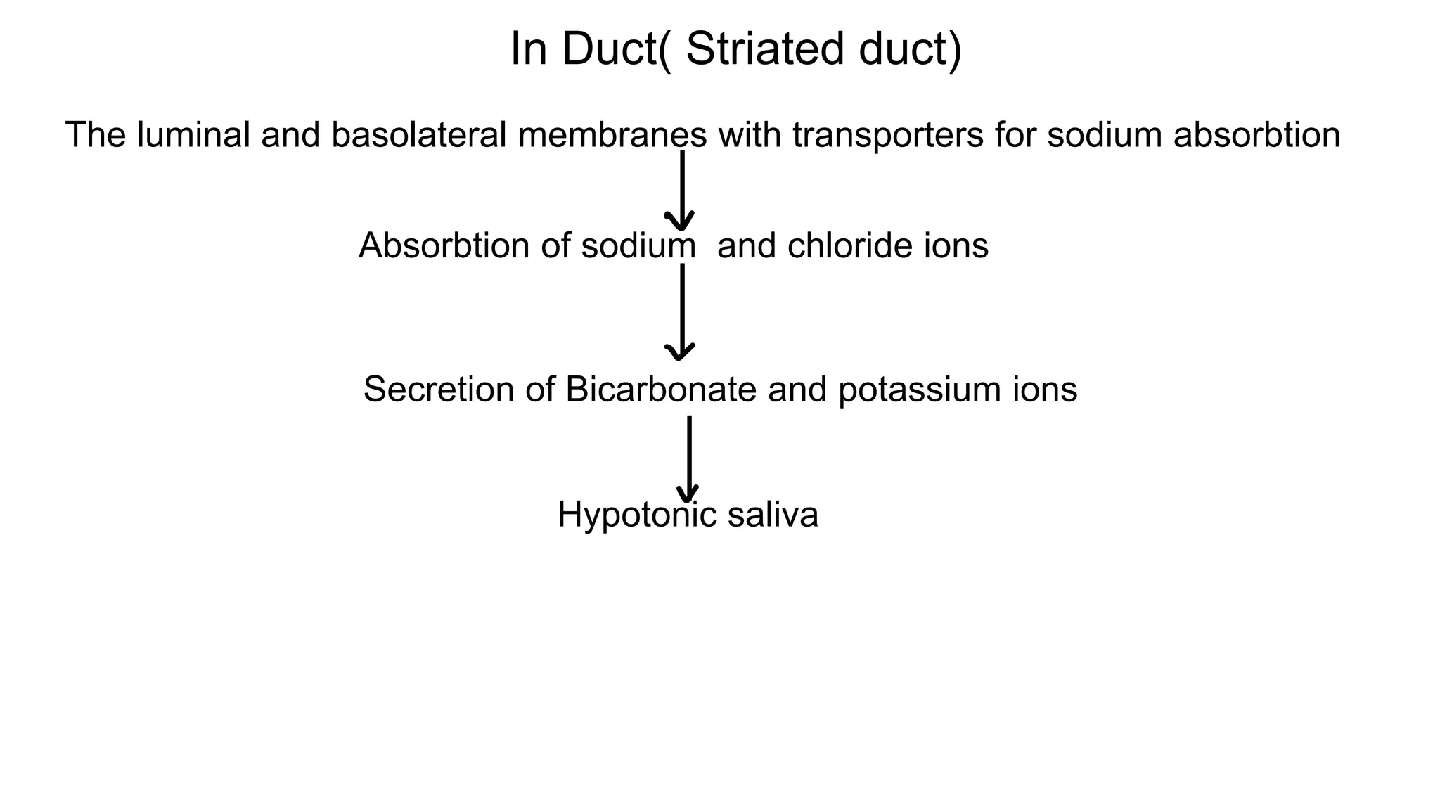 Salivary gland physiology ,Water and electrolyte secretion.pptx