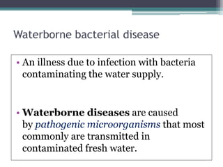 Water and food borne bacterial diseases | PPTX