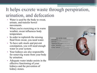 Water and health | PPTX