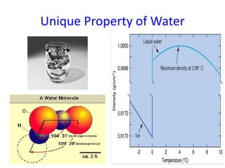 Water and ice physical properties and its structure-1.pptx
