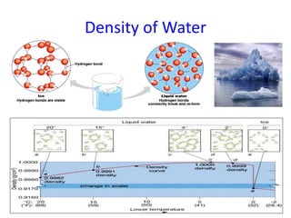 Water and ice physical properties and its structure-1.pptx