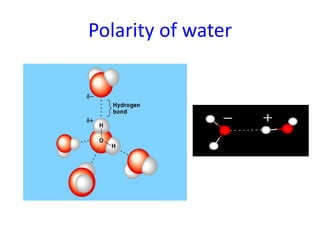 Water and ice physical properties and its structure-1.pptx