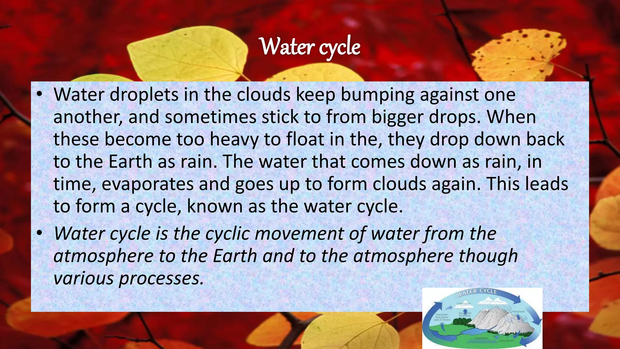 Water and its importance | PPTX