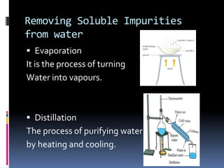 Water and its impurities | PPTX