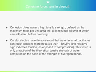 Water and its properties | PPTX