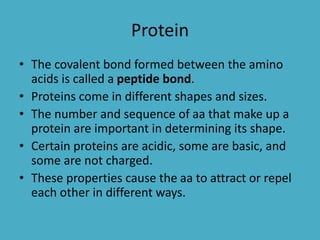 Water and Biomolecules | PPTX