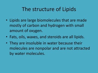 Water and Biomolecules | PPTX