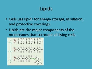 Water and life substances | PPTX