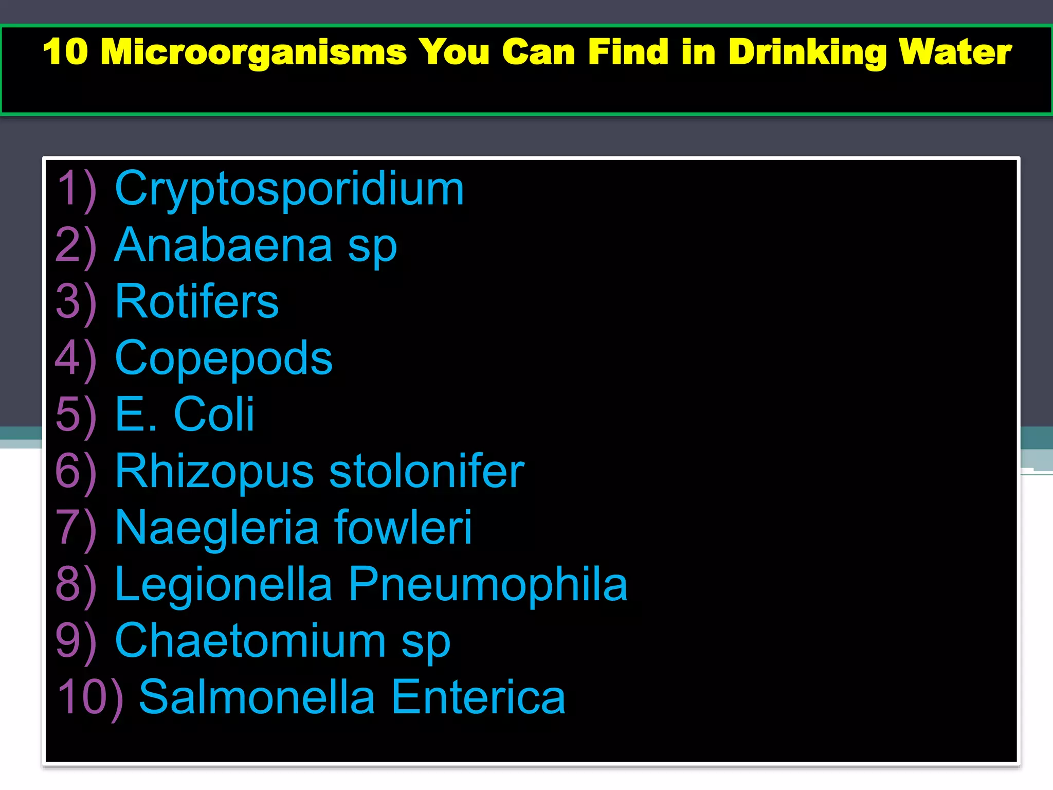 Microbes In Drinking Water And Water Purification | PPT