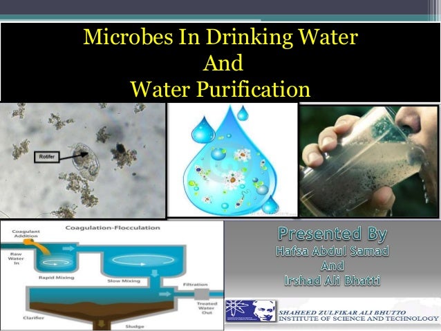 Bacteria In Drinking Water