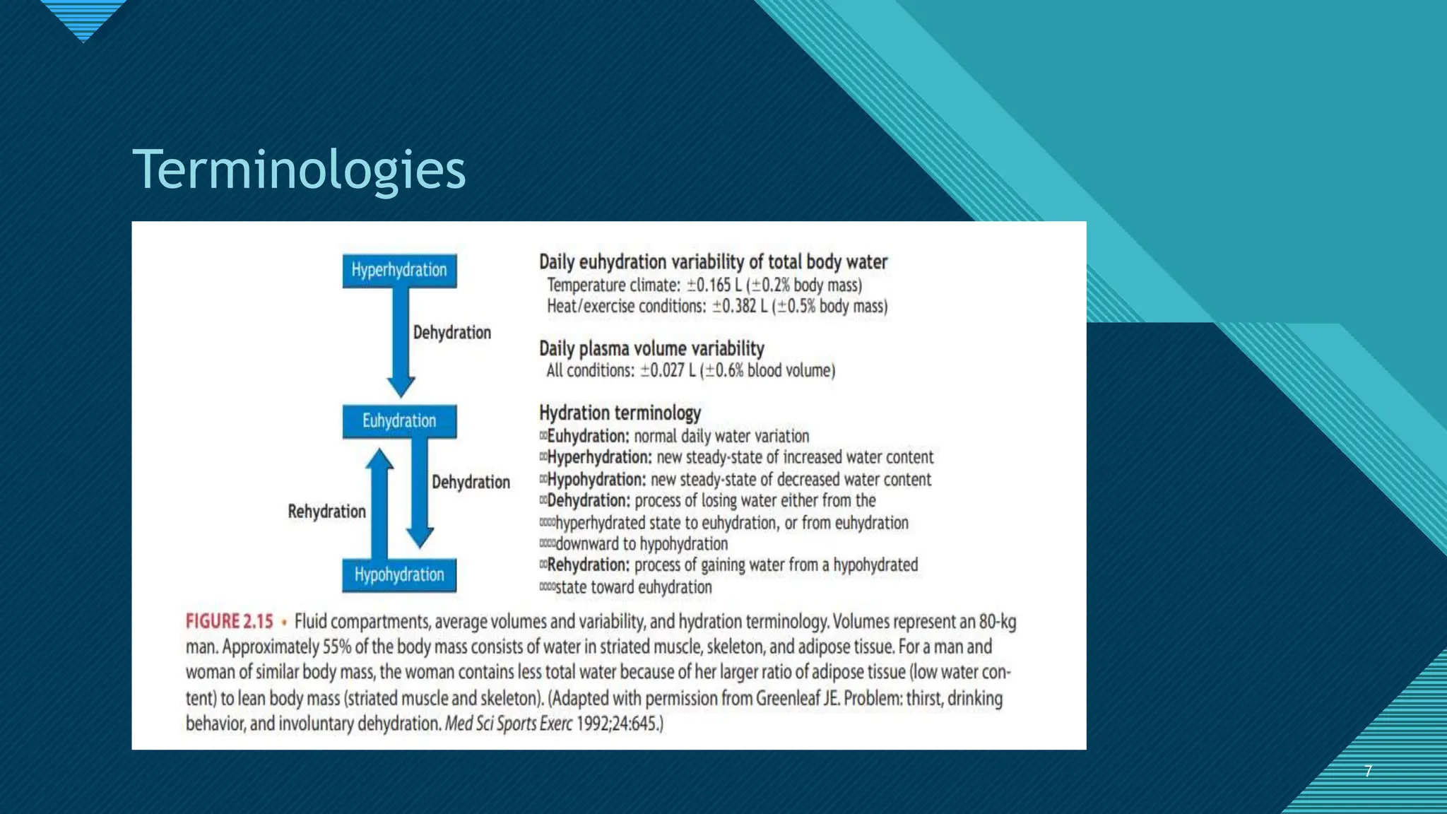 Water and Minerals- Exercise Physiology. | PPTX