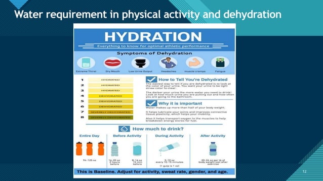 Water and Minerals- Exercise Physiology. | PPTX