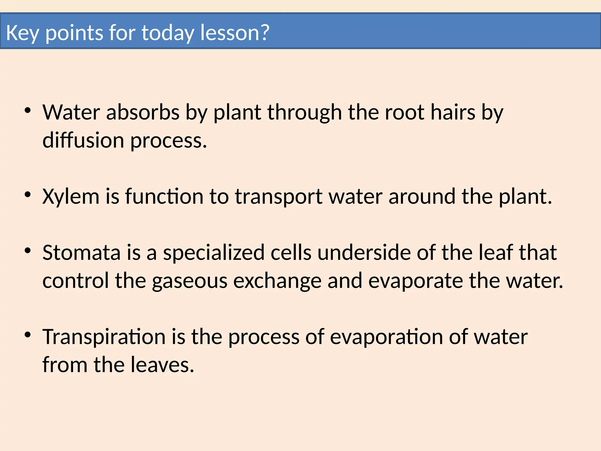 water and mineral transport in plants.pptx