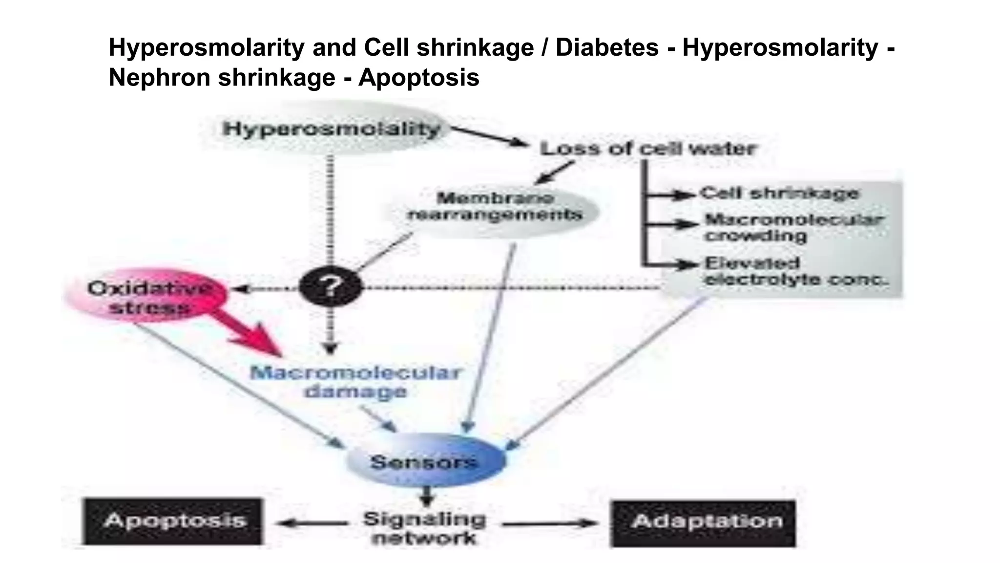 Water and osmolarity | PPTX