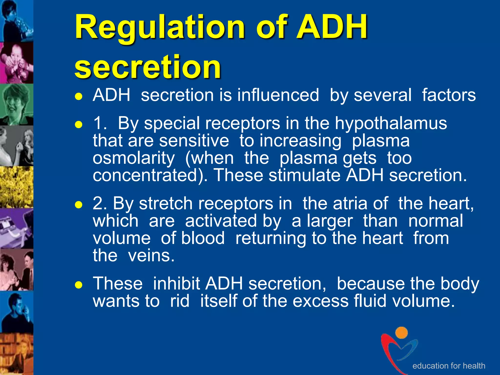Water and sodium balance dr onu em | PPT